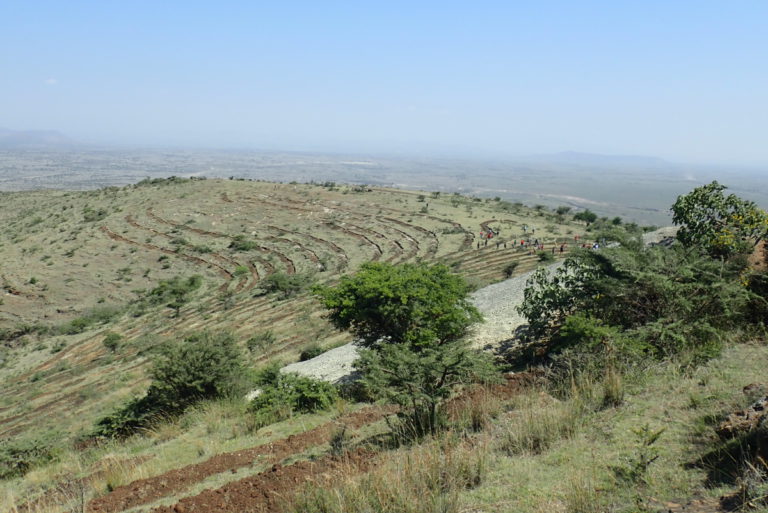Tree planting - Foundation Green Ethiopia