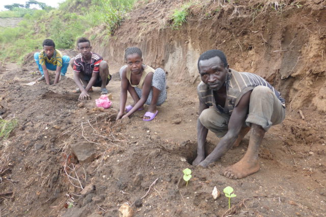 Tree planting - Foundation Green Ethiopia