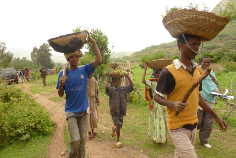 Tree planting - Foundation Green Ethiopia